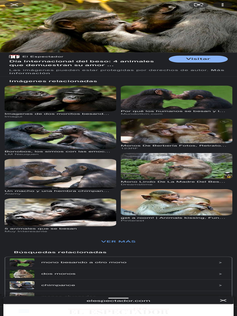 Los Monos Besandose - Búsqueda de Google | PDF