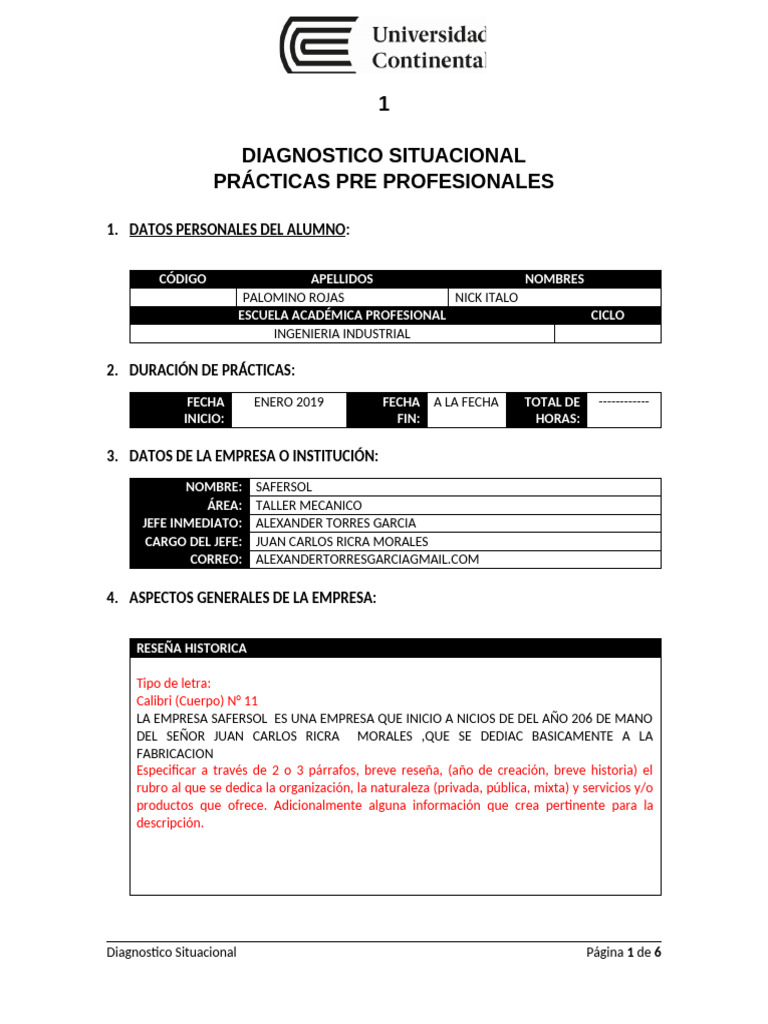 Formato de Diagnostico Situacional - Actualizado 2024 | PDF | Business