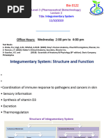 Friction Ridge Skin Morphogenesis and Overview | PDF | Epidermis | Hand