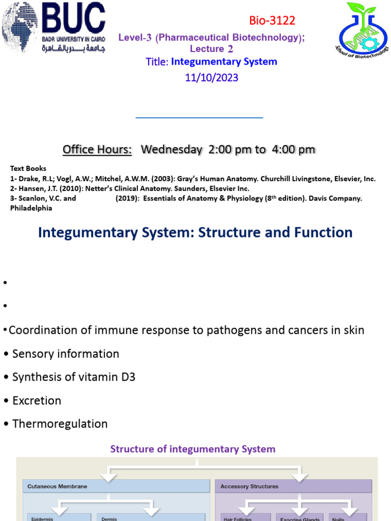 2 Integumentary System Pdf Skin Epidermis