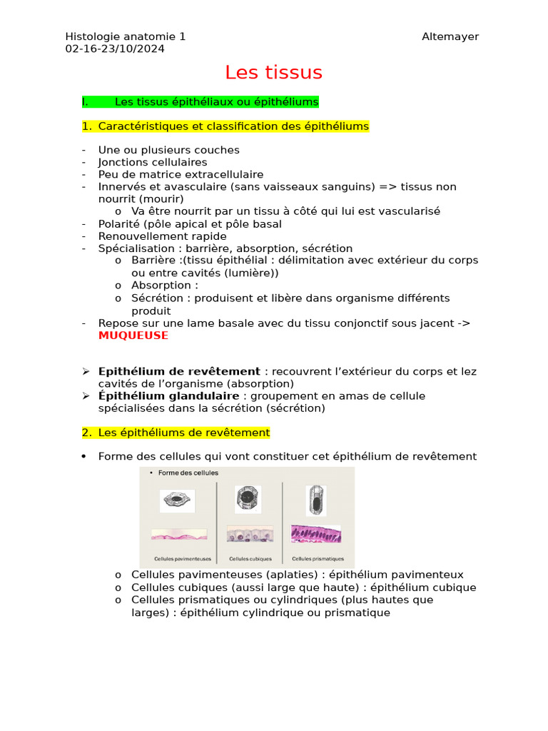 Anatomie et Histologie des Tissus humains | PDF | Épithélium ...