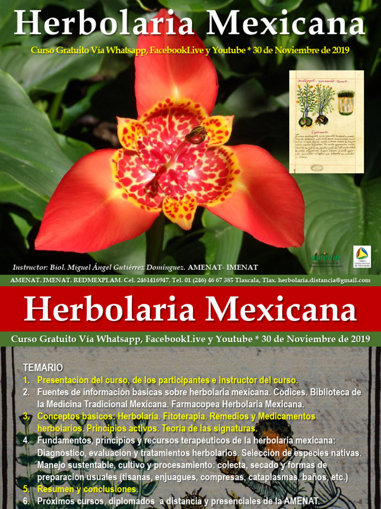Curso Introduccion A La Herbolaria Mexicana Presentacion Magd 2019 ...