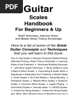 Complete Guitar Roadmap | PDF | Guitars | Chord (Music)