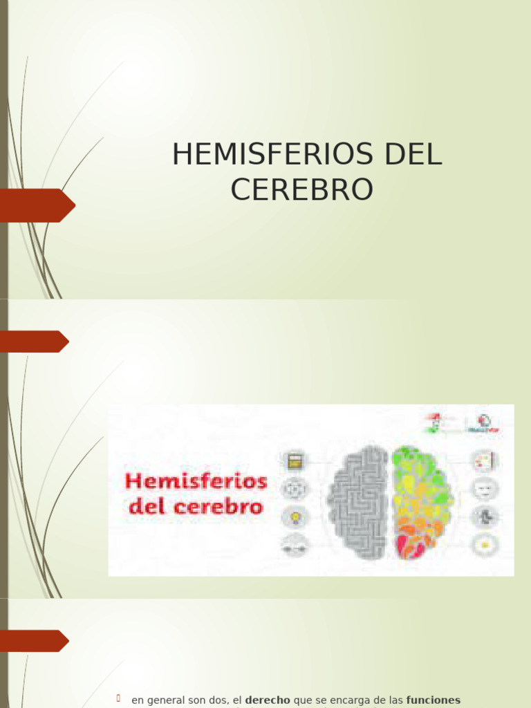 Funciones de los Hemisferios Cerebrales | PDF | Hemisferio cerebral ...