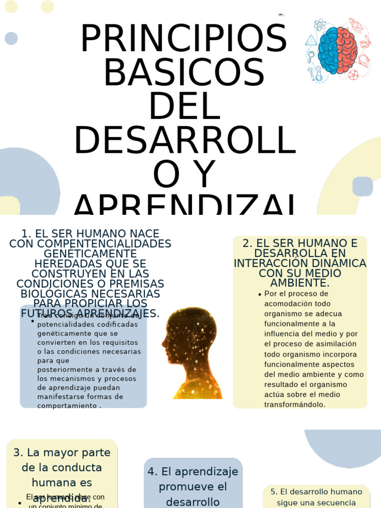 Principios Basicos PDF | PDF | Aprendizaje | Comportamiento