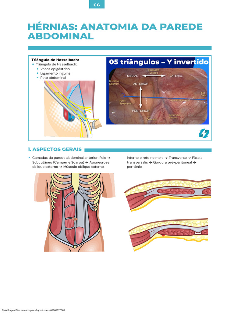 Hérnias: Anatomia Da Parede Abdominal | PDF | Especialidades médicas | Medicina Clínica