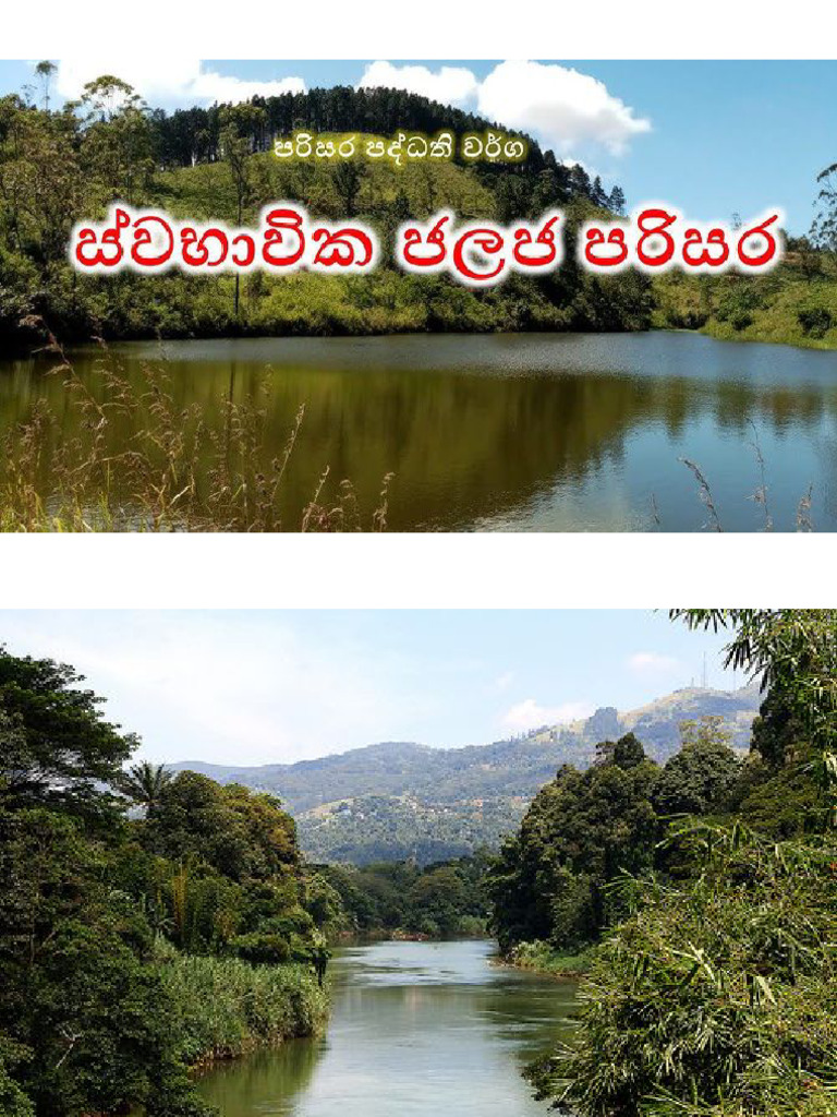 Science Lesson 12 Presentation PDF | PDF