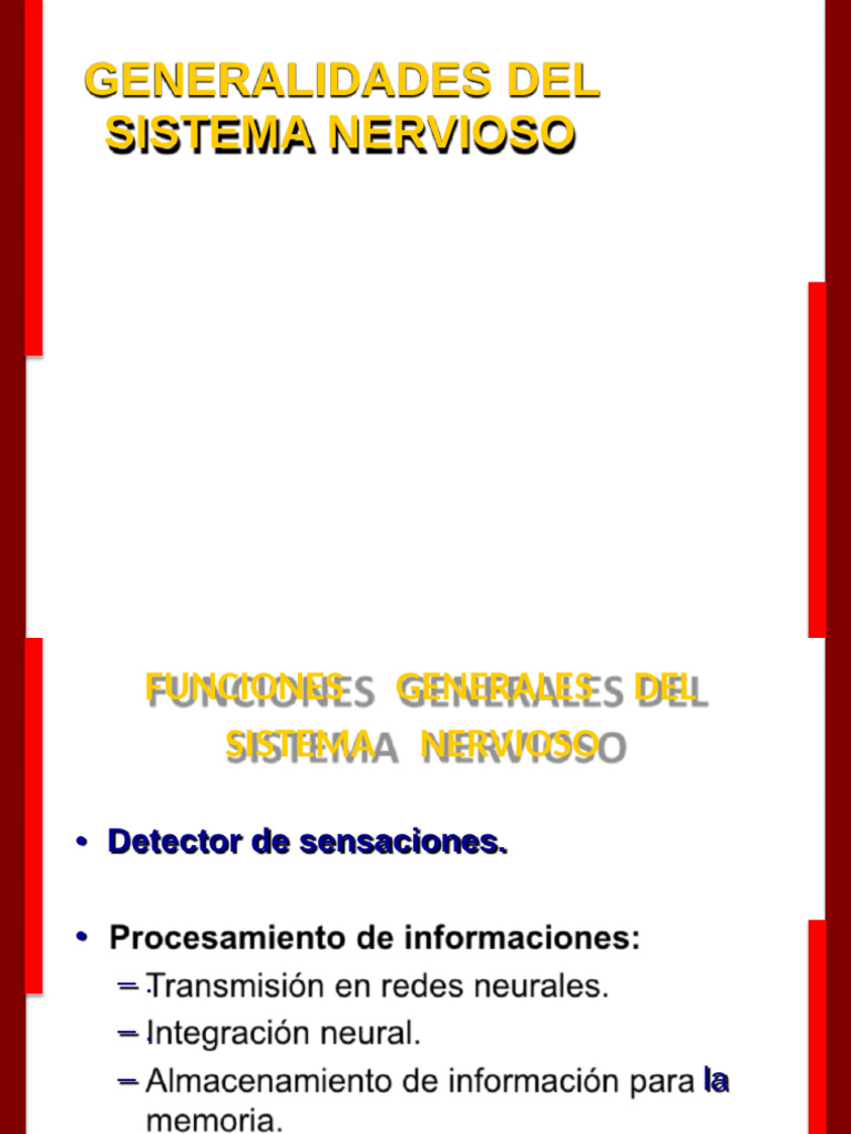 GENERALIDADES SNC | PDF | Nervio | Sistema nervioso