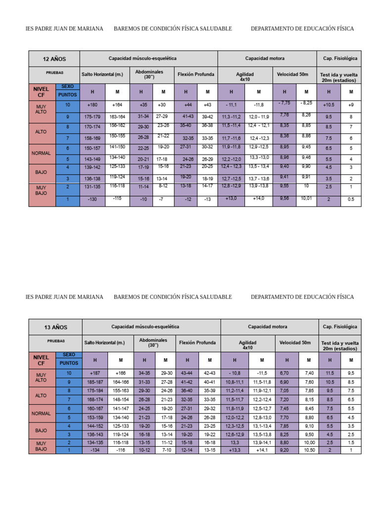 Ies Padre Juan de Mariana Baremos de Condición Física Saludable ...