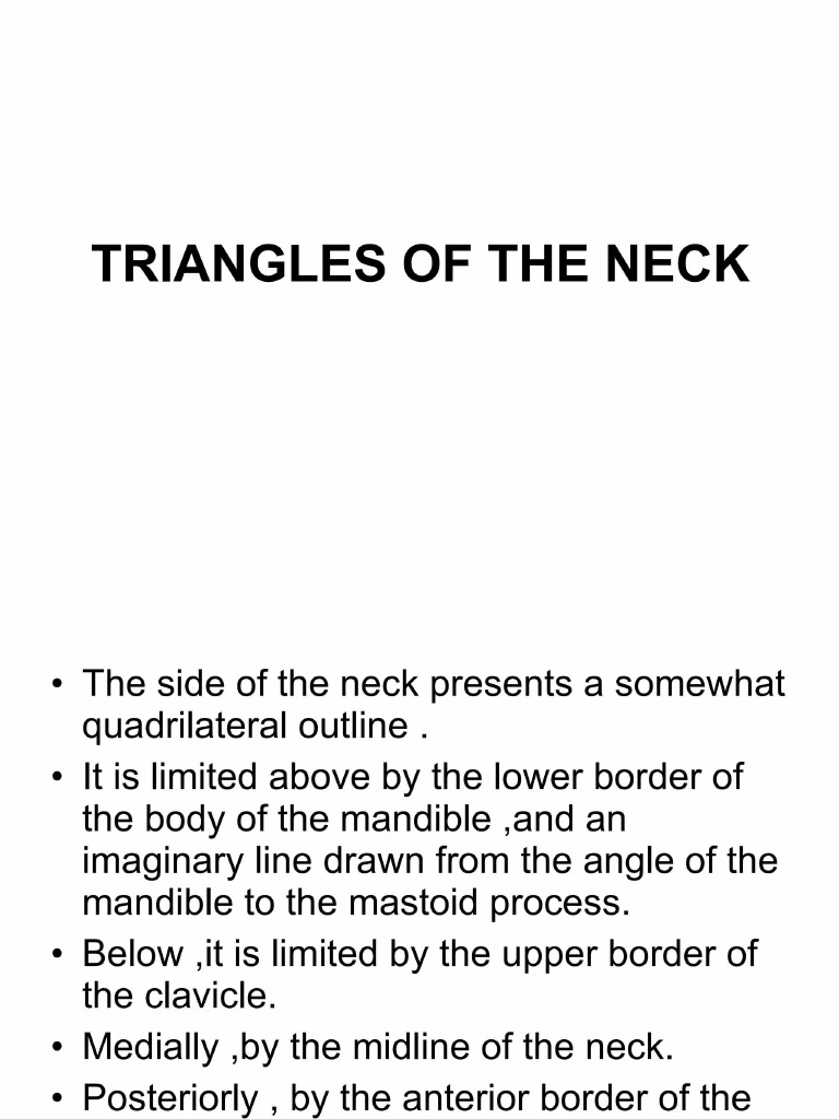 Triangles of The Neck | PDF