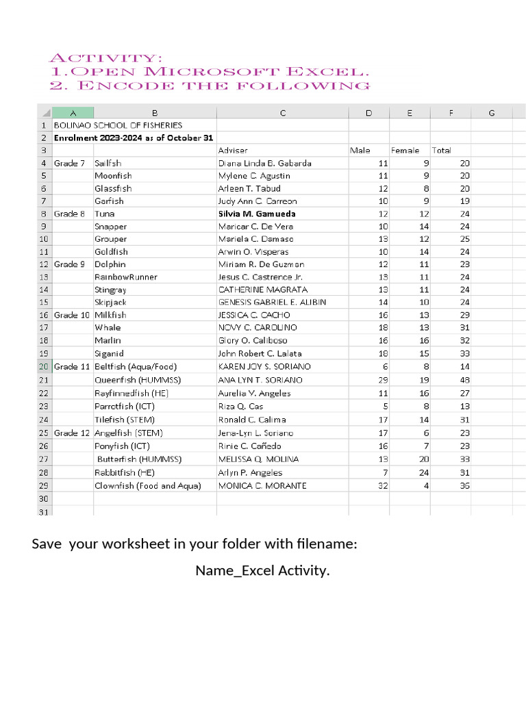 Acitivity 1 Excel | PDF
