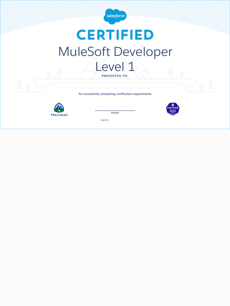 Mulesoft Certification | PDF