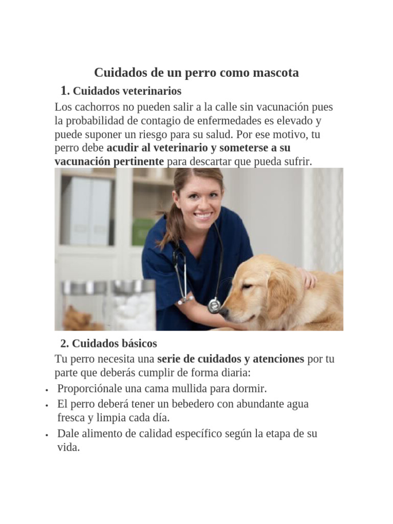 Cuidados de Un Perro Como Mascota | PDF | Dieta