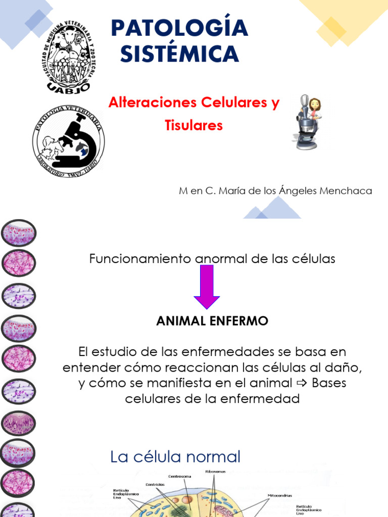 II. - Alteraciones Celulares y Tisulares | PDF | Membrana celular ...