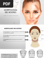 Morfología del Rostro y Visagismo | PDF | Longitud