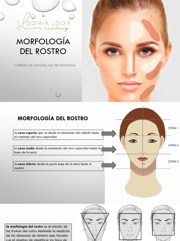 Clase 3 Morfología Del Rostro, Facechat, Visajismo de Ceja | PDF ...