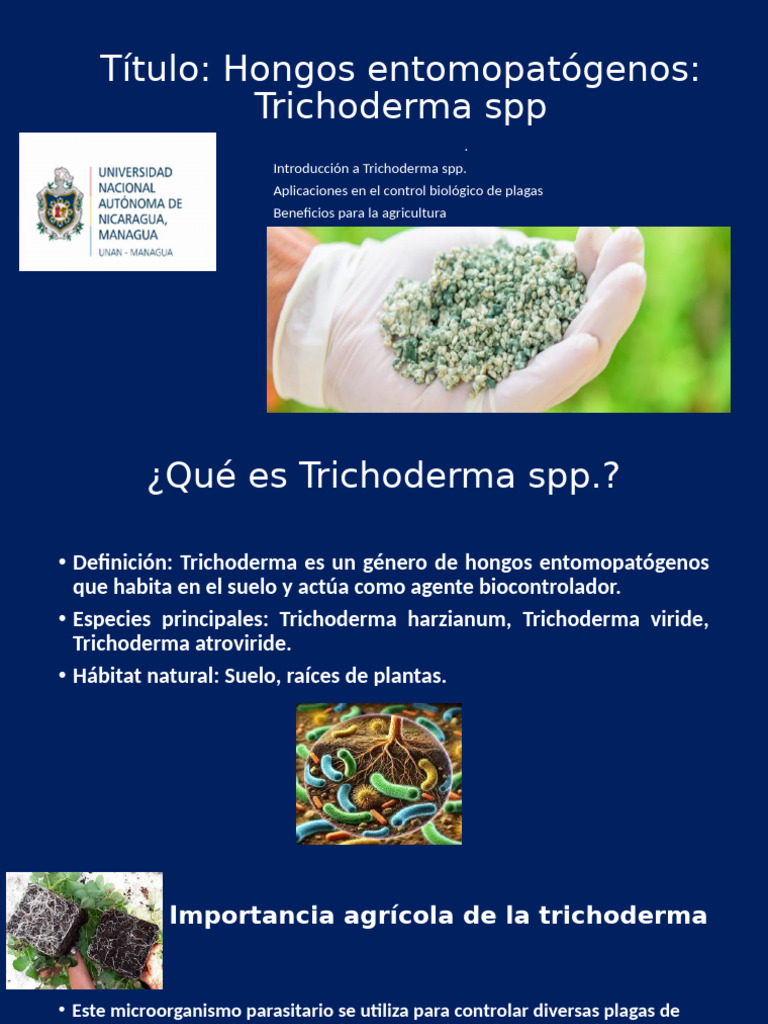 Hongos Entomopatogenos | PDF | Hongo | Control biológico de plagas