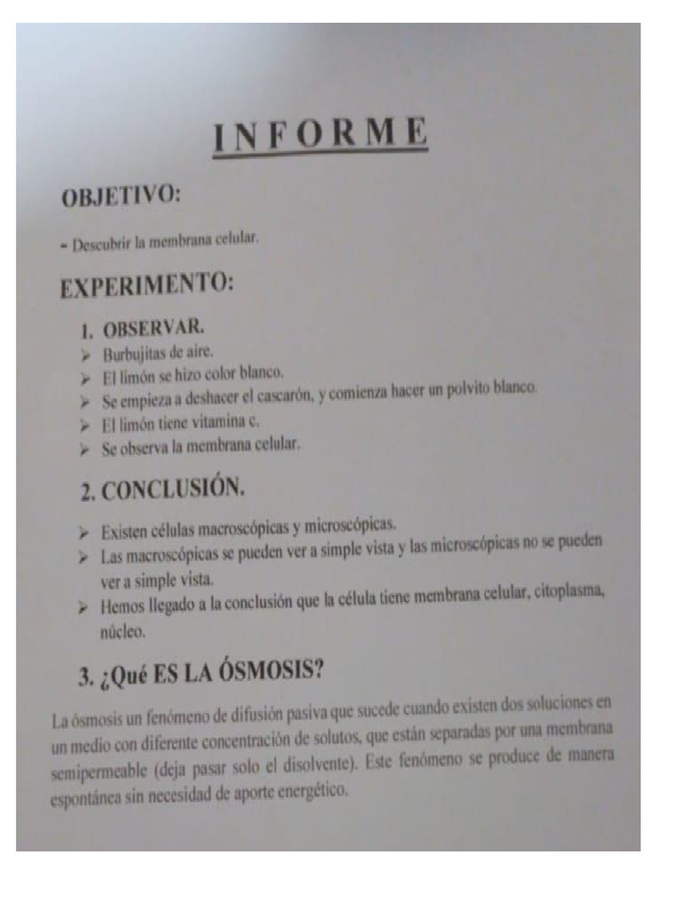 Informe 2 | PDF