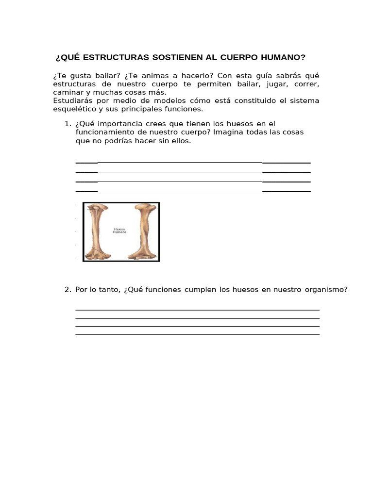 Guia 3y4 Ciencias | PDF | Sistema musculoesquelético humano | Esqueleto