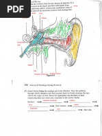 The Skeletal System Answer Key | PDF
