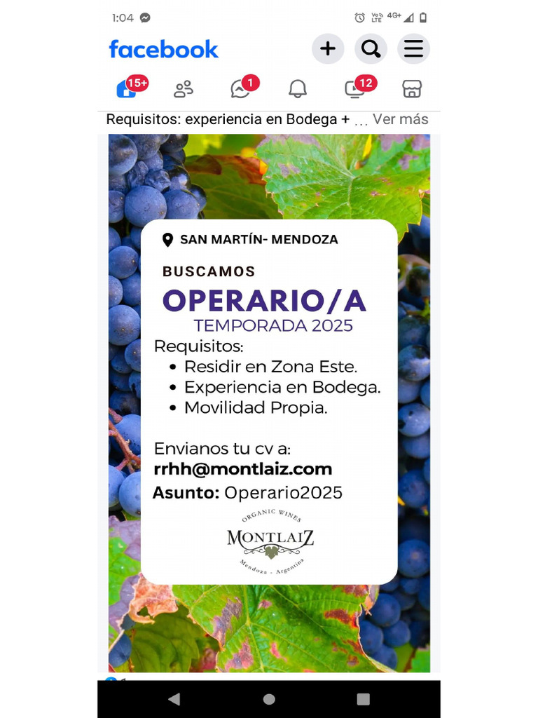 PDFReader 20241110 2201 | PDF