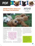 Dogs Playing For Life Manual | PDF | Dogs | Animal Training