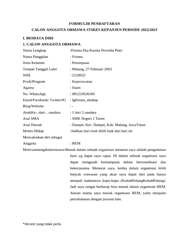 Formulir Calon Anggota BEM | PDF