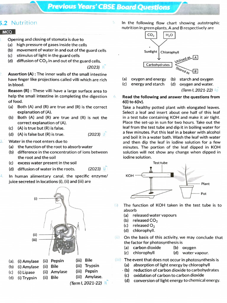 Class X Chp-5 Life Process PYQ | PDF | Kidney | Anatomy