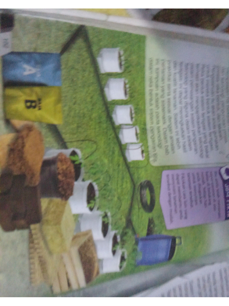 PDFReader 20241111 0935 | PDF