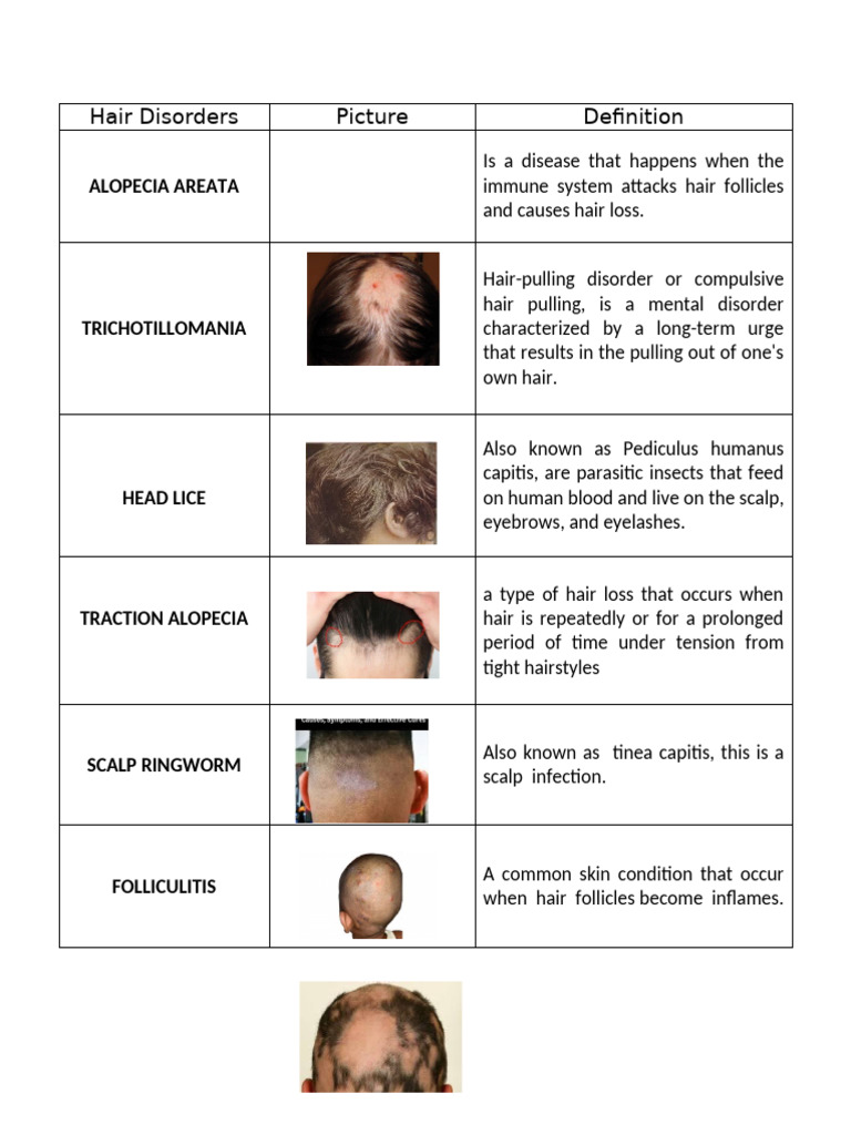 Hair Disorders | PDF
