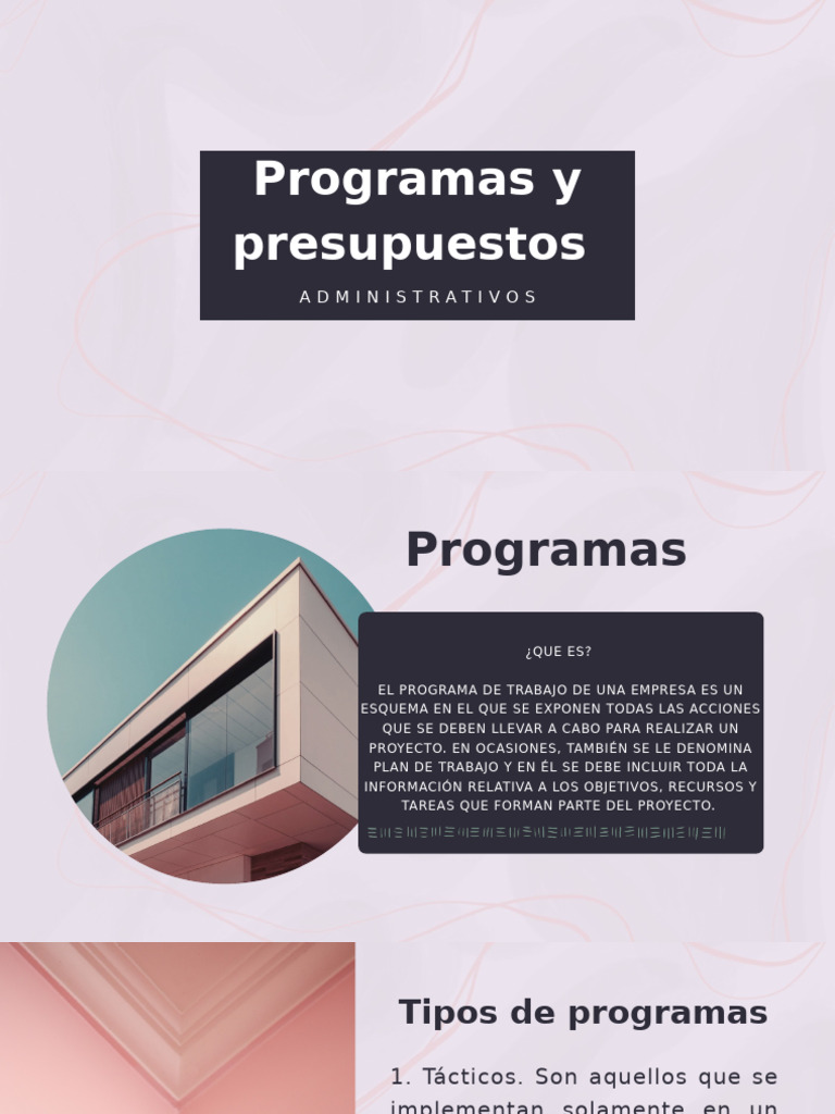 Programas y Presupuestos | PDF | Presupuesto | Business