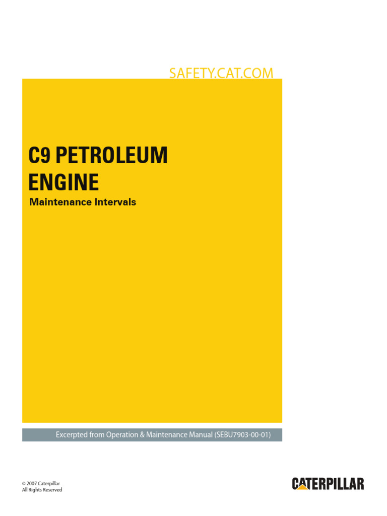 C9 Petroleum Engine-Maintenance Intervals | PDF | Belt (Mechanical ...