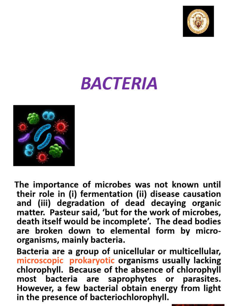 Bacteria | PDF | Bacteria | Cell (Biology)