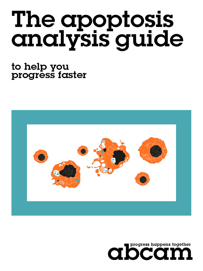 Apoptosis Analysis Guide | PDF | Apoptosis | Caspase 3