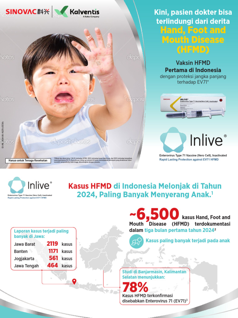 Brochure Inlive | PDF