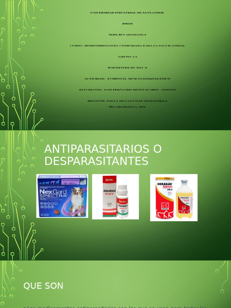 Antiparasitarios: Tipos y Usos Efectivos | PDF | Medicamentos con receta | Parasitismo