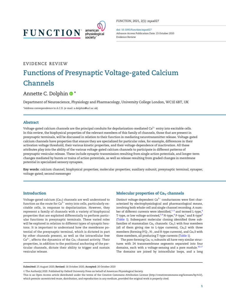 Functions of Presynaptic Voltage-Gated Calcium | PDF | Chemical Synapse ...