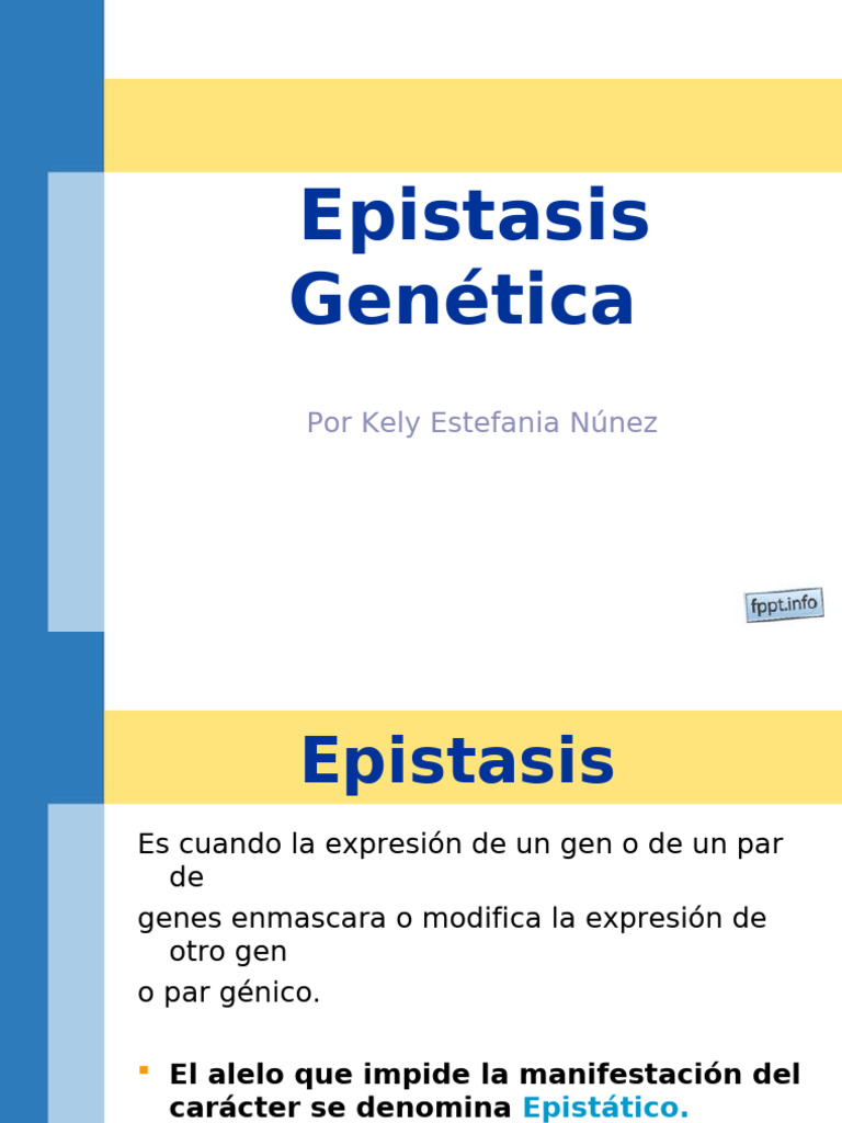 Epistasis 141206153807 Conversion Gate02 | PDF | Epistasis | Dominancia (Genética)