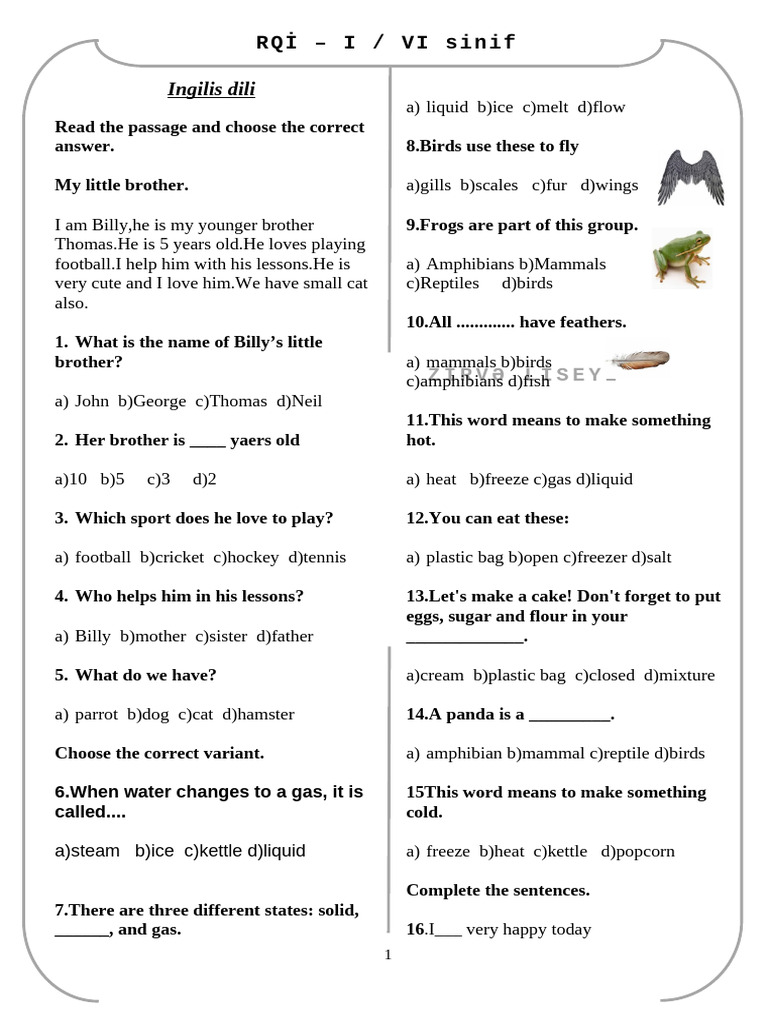 Quiz.grade 2 | PDF | Birds