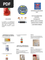 Trifolio de Experimento El Pez Globo | PDF