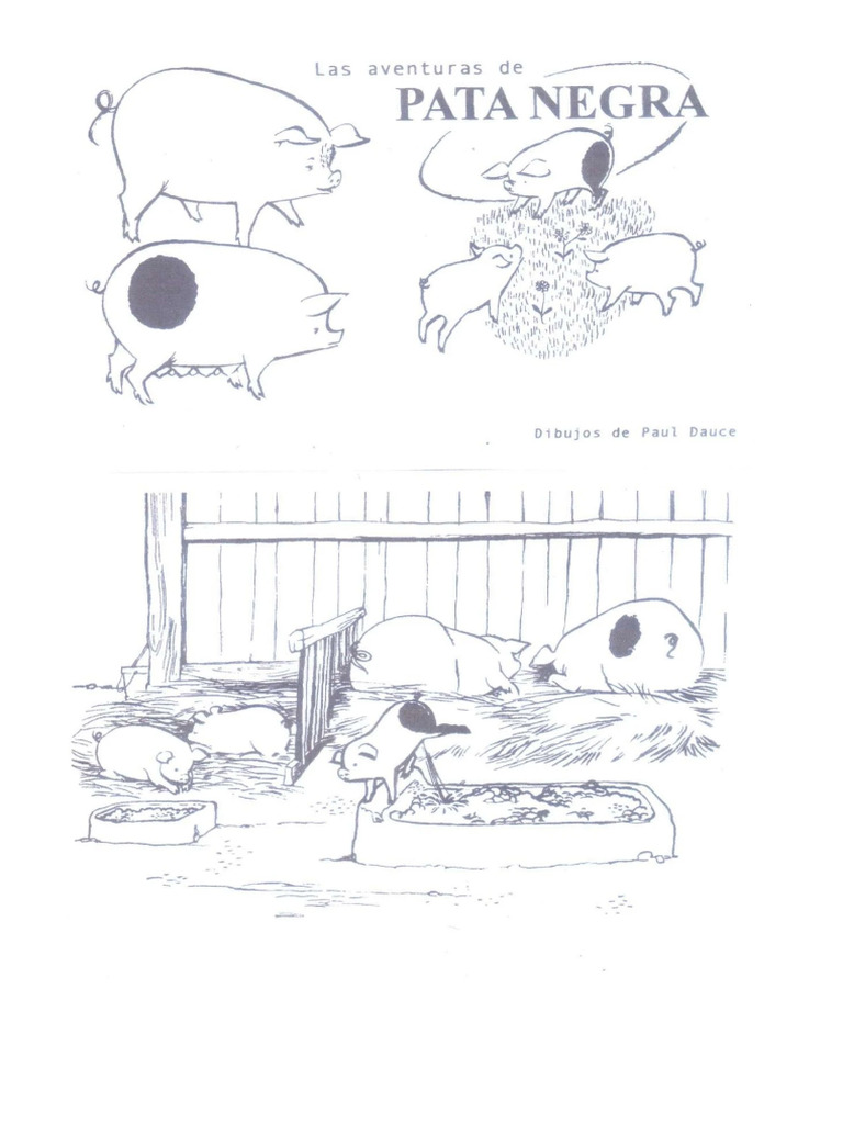 Laminas Test Pata Negra | PDF