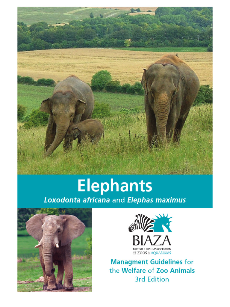 Elephant Welfare Management Guidelines | PDF | Elephant | Zoo