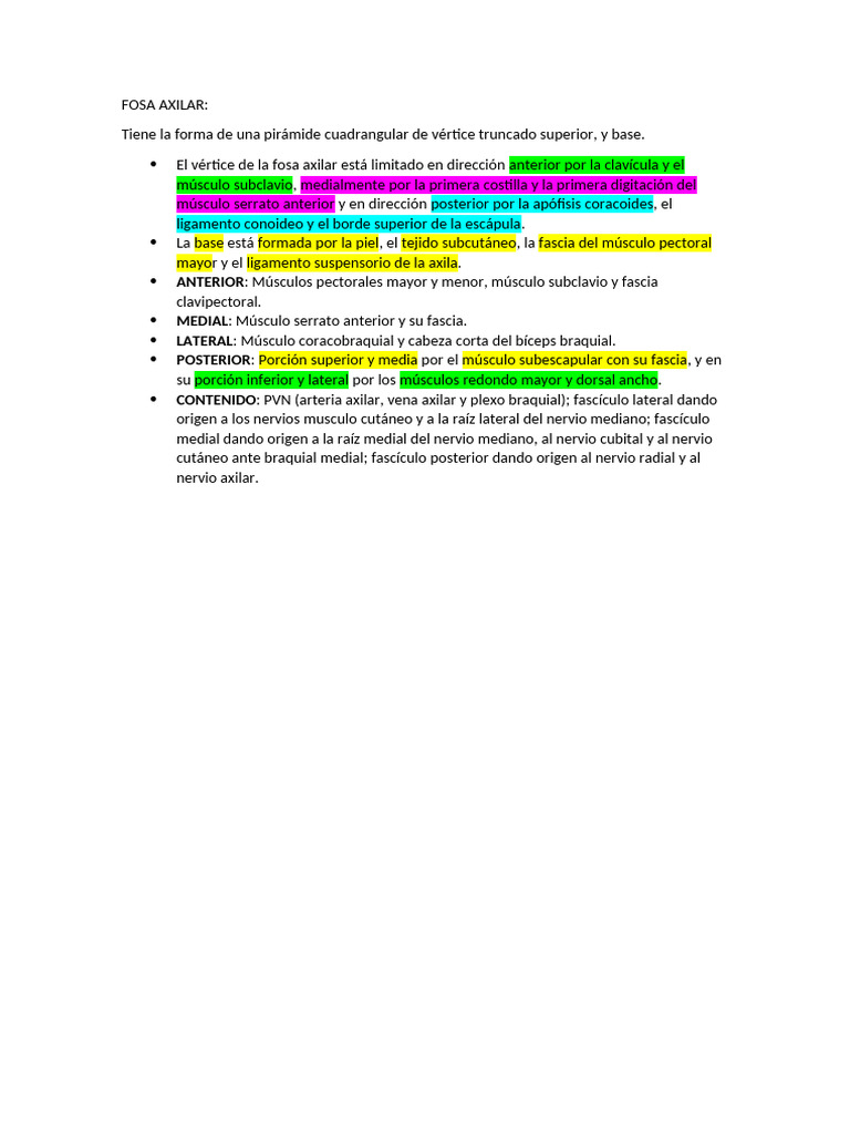 Anatomía de la Fosa Axilar | PDF | Viajes y turismo