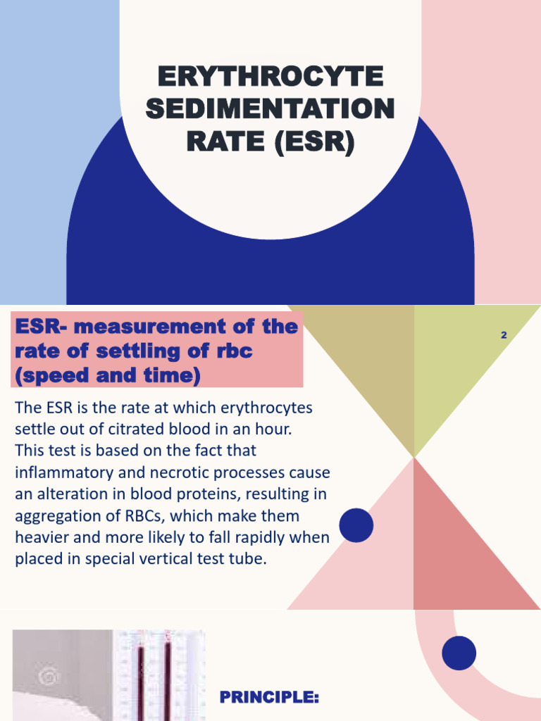 Erythrocyte Sedimentation Rate Esr New | PDF | Red Blood Cell | Blood ...