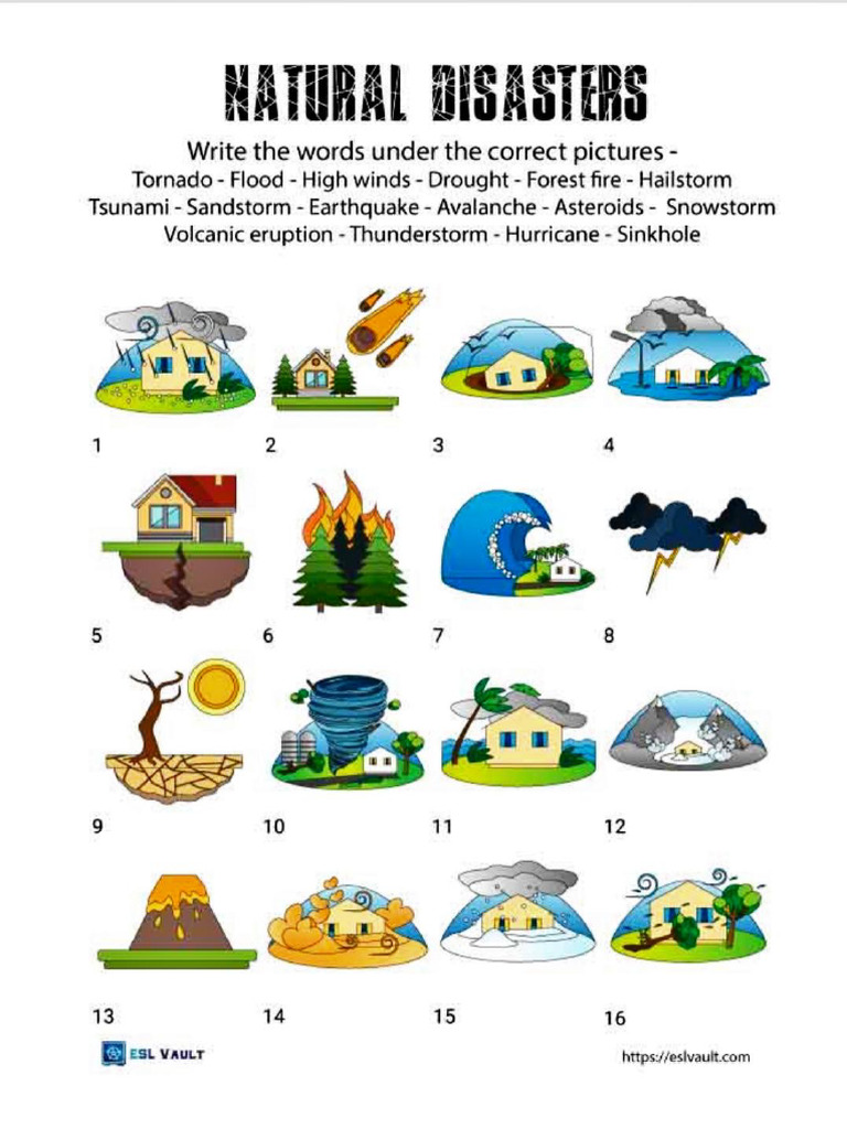 Natural Disasters Overview and Writing Guide | PDF