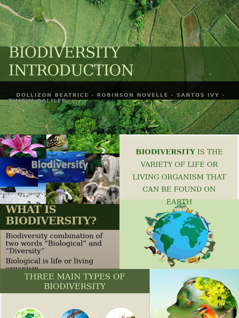 Introduction of Biodiversity | PDF | Biodiversity | Species