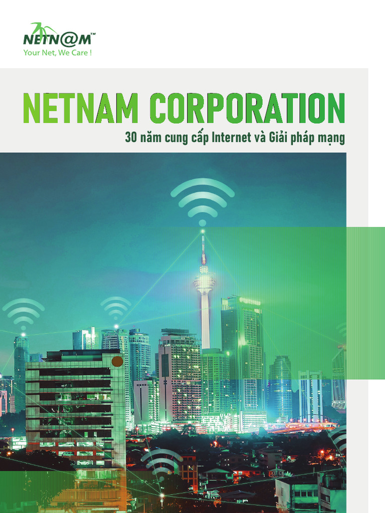 Profile NetNam 2024 VIE | PDF