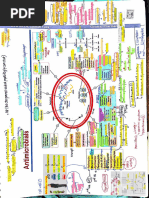 Mnemonics For Antibiotics | PDF | Penicillin | Beta Lactamase