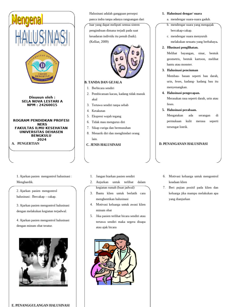 Leaflet Halusinasi | PDF