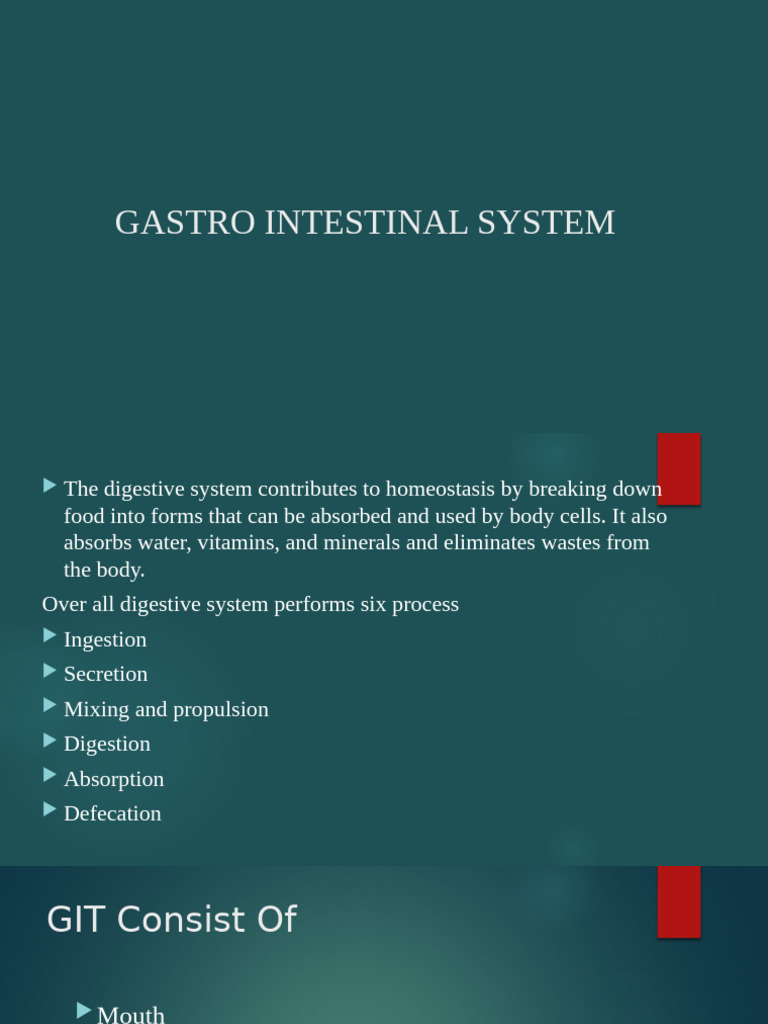 GIT (2) | PDF | Digestive System | Organ (Anatomy)